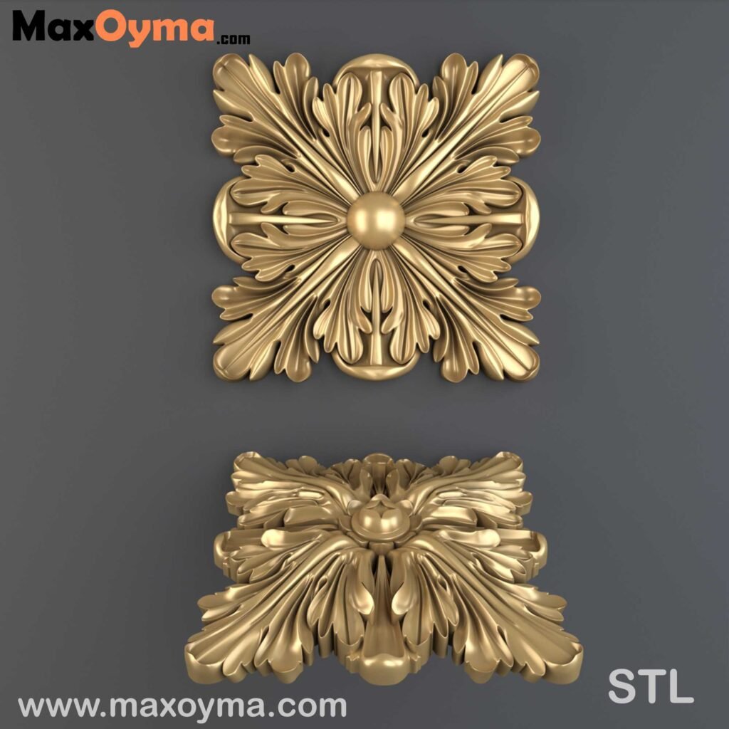 H0069 - MaxOyma