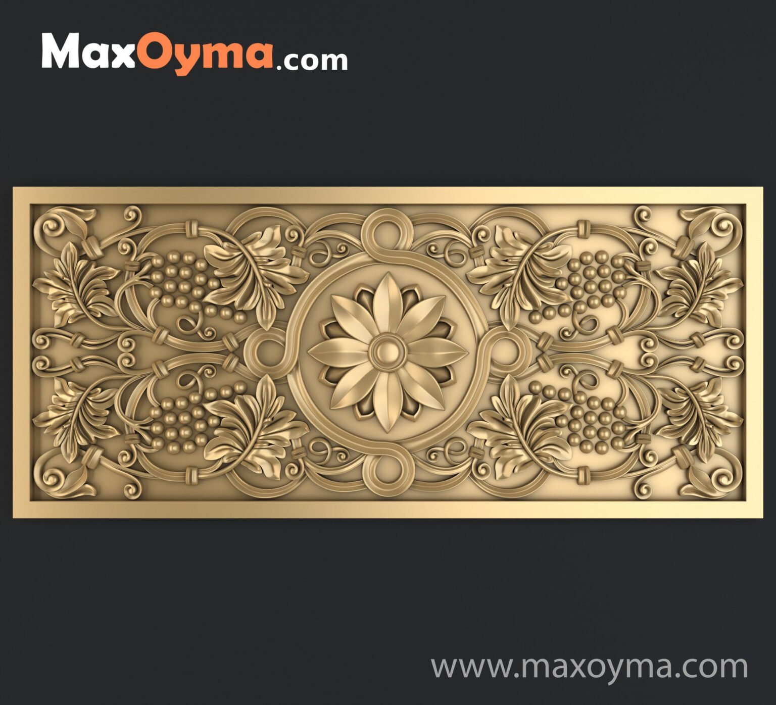 H0069 - MaxOyma